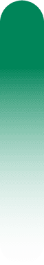 ProCredit Business Network | Connect, Grow, Succeed